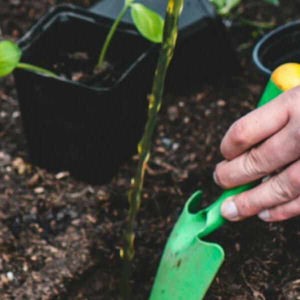 LUGA Lab - La Fabrique de Mains Vertes | Lëtzebuerg